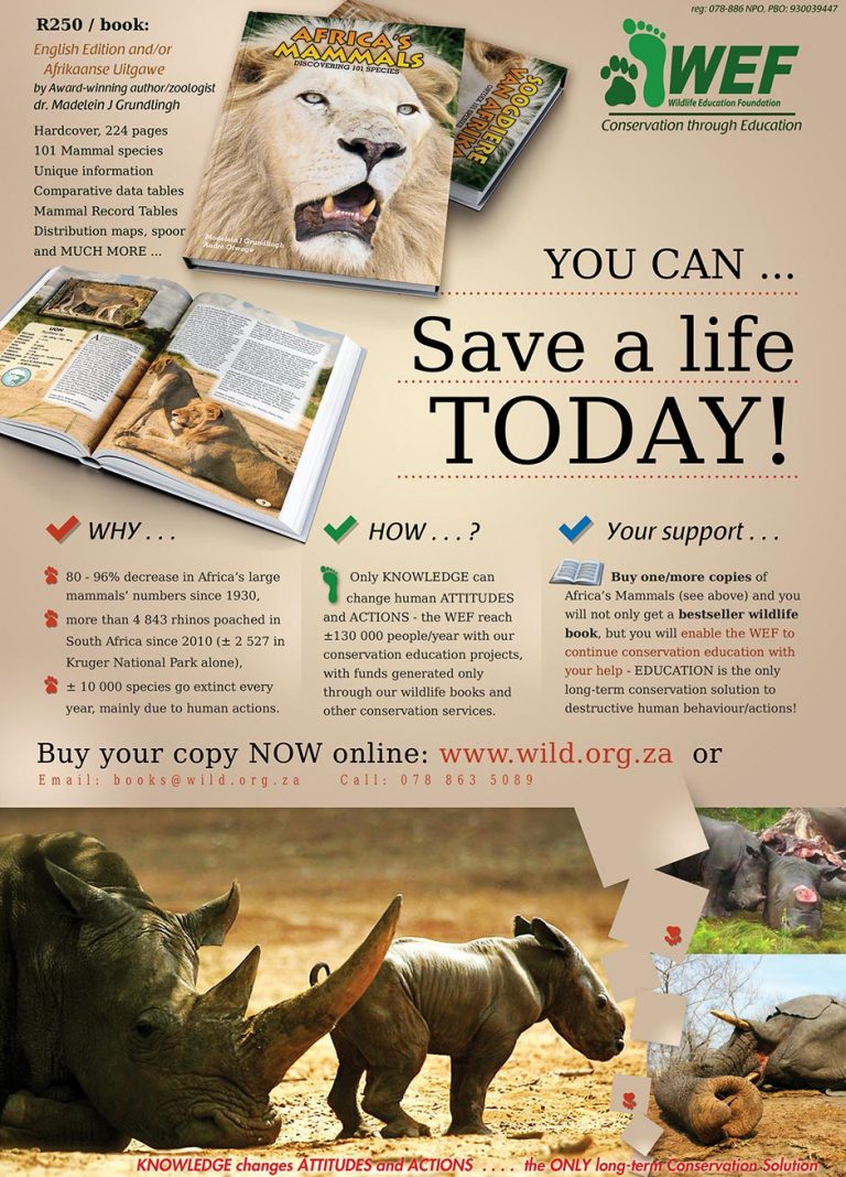 AFRICA’s MAMMALS – Discovering 101 species – Wildlife Education ...